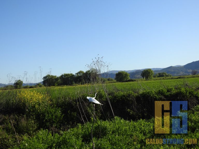 La fauna del Guirivilo, Santa Cruz - CALDOSTRONG.COM